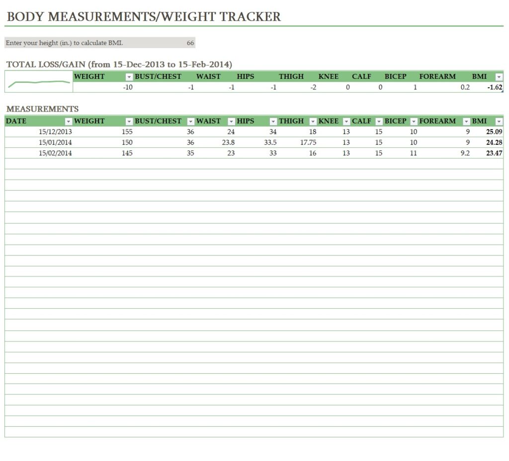 Body Measurements Log Template | Free Log Templates